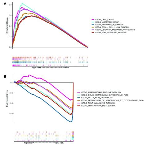 Pathway Enrichment Plots Of GSEA Based On Oxidative Stress DElncRNA