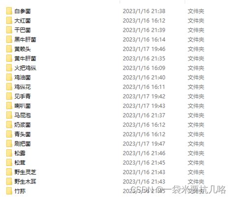 task1：构建自己的图像分类数据 pytorch 一袋米要抗几咯 讯飞ai开发者社区
