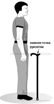 Как правильно отрегулировать высоту трости. Прокат Всем