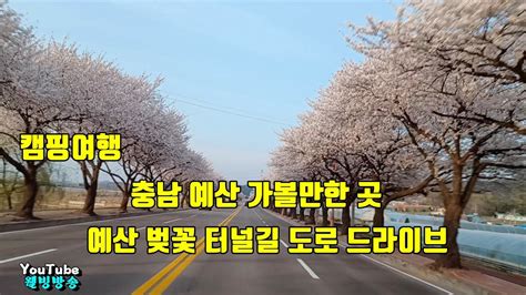 캠핑여행 충남 예산 가볼만한 곳 예산 벚꽃 터널 길 도로 드라이브 43 Youtube