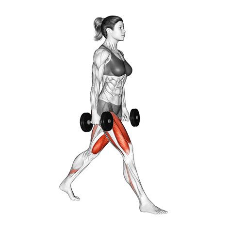 Dumbbell Split Squat Muscles Worked And More Inspire Us