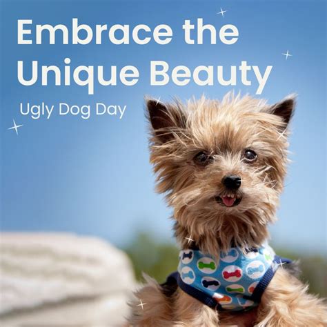 Robin Erwin Jd Sphr Posted On Linkedin