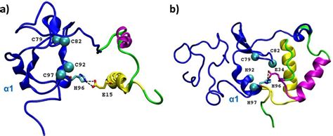 Key Ionic Interactions Between N And C Terminal Domains First Cluster Download Scientific