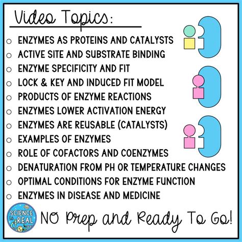 Enzymes Amoeba Sisters Video Handout Science Is Real Education