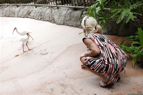 Pornstar Holly Halston With Big Tits Performs Outstanding Ass Fuck Porn