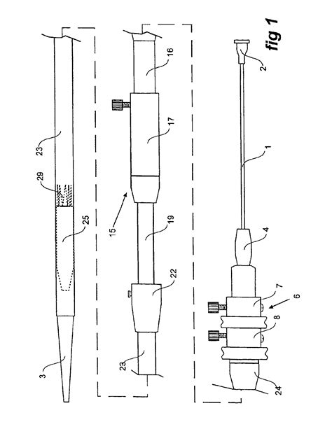 Aortic Stent Patented Technology Retrieval Search Results Eureka Patsnap