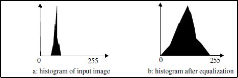 Imagedev Reference Manual