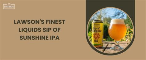 27 Best Ipa Beers Brands In The World 2026s Hoppy Delights