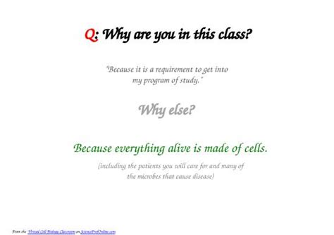 Biology Ppt Introduction To Cell Biology Lecture Powerpoint Vcbcct