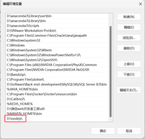 node js npm下载安装及环境配置教程 csdn博客