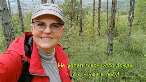 Грибные истории За грибами в дождливый лес Youtube