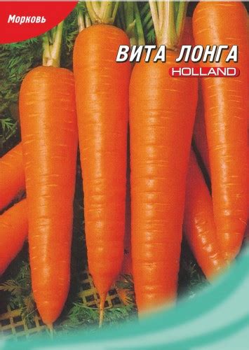 Морковь Вита Лонга, купити за 15.00 грн. :: Rastim