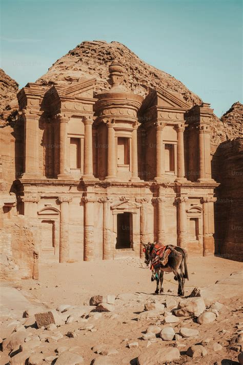 Um Cavalo Está De Pé Na Frente De Um Edifício Foto Imagem Sobre Cenário Na Unsplash