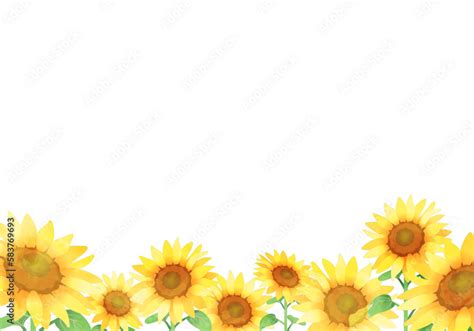 水彩で描いたひまわりのフレーム背景 Stock Vector Adobe Stock