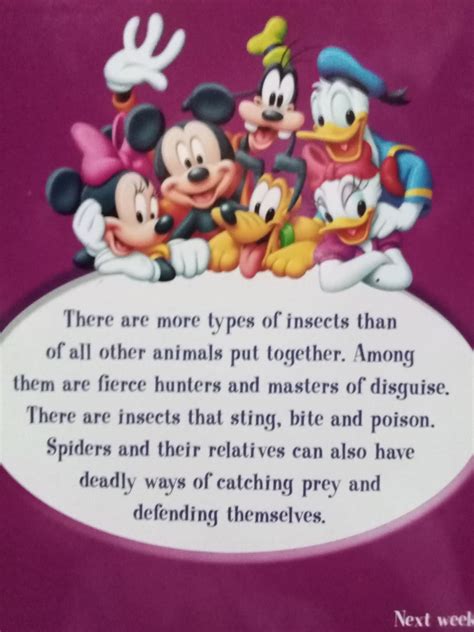 Disney Insects And Spiders Books For Less Online Bookstore
