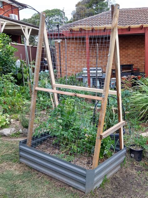 DIY Trellis For Cucumbers Step By Step With Pictures