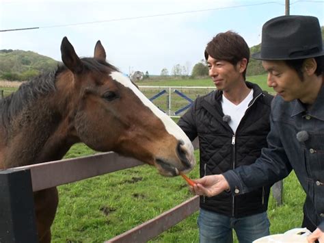 和田竜二騎手が“永遠の相棒”の墓参り メイショウドトウと再会も 競馬ニュース Netkeiba