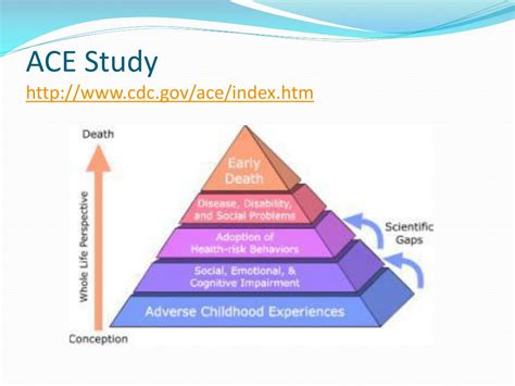 Ppt Trauma Informed Care And Effective Screening Powerpoint