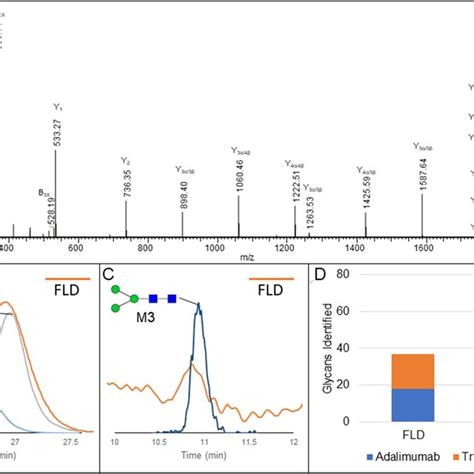 Hilic Fld Chromatograms Of Adalimumab A And Trastuzumab B Peaks