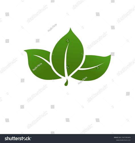 Green Leaves Vector Logo Plant Template Stock Vector Royalty Free