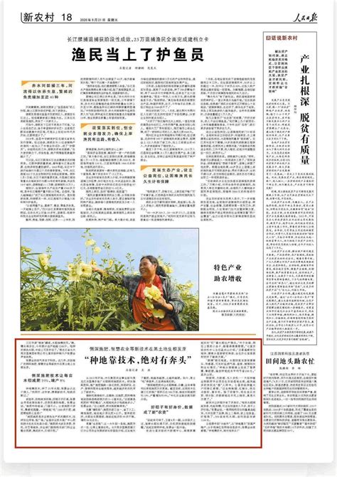 （人民日报看龙江）“种地靠技术，绝对有奔头”