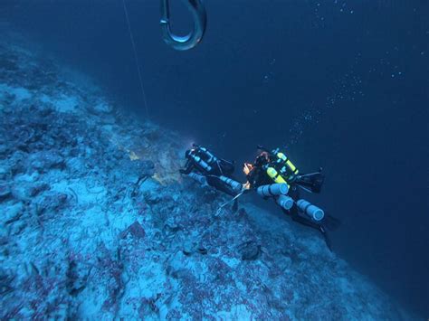 Cientistas descobrem novas espécies de peixe em Fernando de Noronha