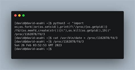 Python Memfdcreate Oneliner Python3 C Import Ososforkoros