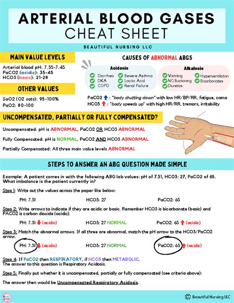 Abg Cheat Sheet Understanding Arterial Blood Gases For Nursing Studocu