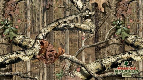 Mossy Oak Wallpapers Top Free Mossy Oak Backgrounds Wallpaperaccess