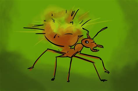 These Exploding Ants Take Defending Their Colony To The Next Level