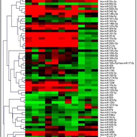 Differentially Expressed Mirnas Between Normal Epithelium And Tumor