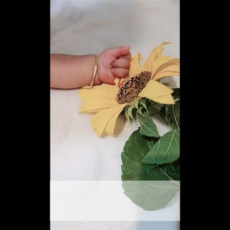 گل آفتاب گردون من🌾♥️🌻 Youtube