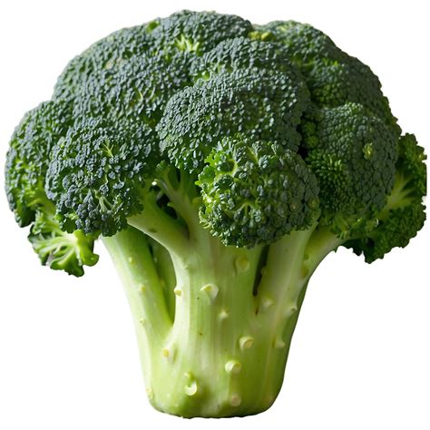 Download Broccoli Vegetable Png 05232024