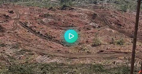 Working Tailhold Album On Imgur