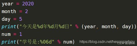 Python格式化输出python 格式化输出 Csdn博客