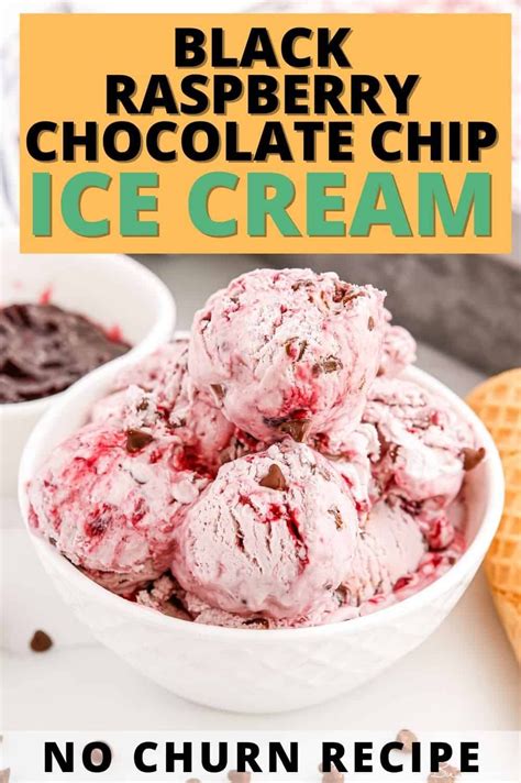 Raspberry Chocolate Chip Ice Cream Recipe Artofit
