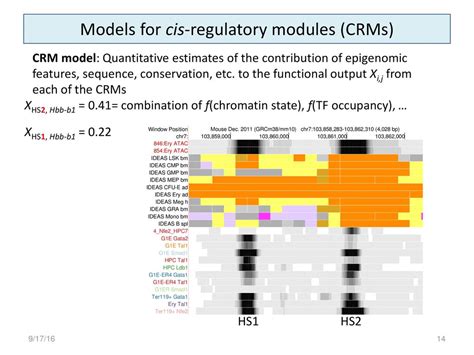 Ross Hardison Department Of Biochemistry And Molecular Biology Ppt