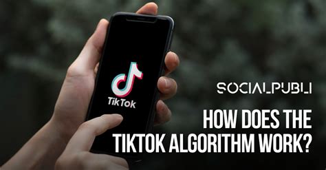 How Does The TikTok Algorithm Work SocialPubli Blog