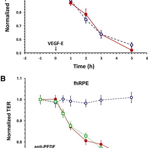 Levels Of Vegf And Pedf In Media From Established Rpe Cell Monolayer