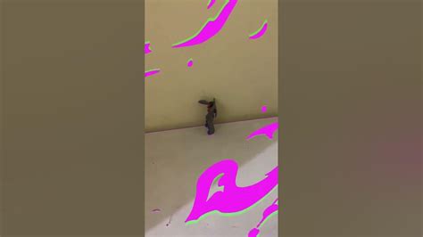 Part 4 Episode 2 Youtube
