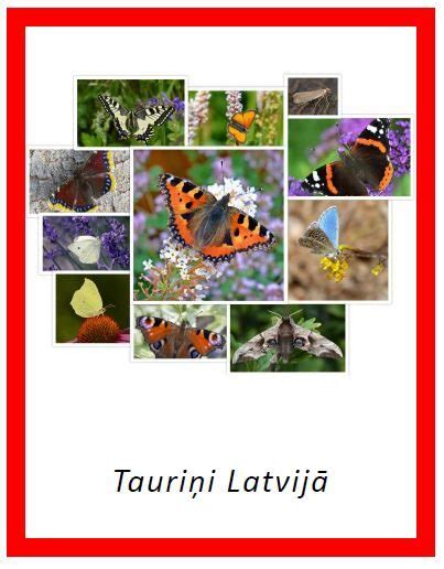 Tauriņi Latvijā Latvija Veikals Momtesori