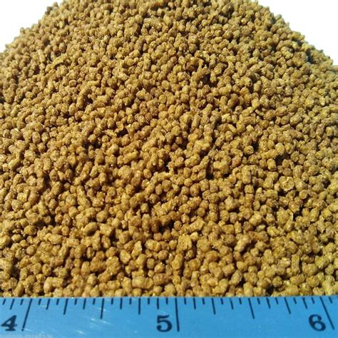 Aquatic Foods Sinking 364 116 Z Pellets For Snails Shrimp Bottom