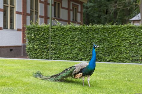 Het Loo Palace Peru Blog About Interesting Places