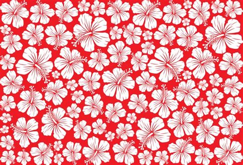 Hibiscus Vector Images And Graphics For Commercial Use Vectorstock