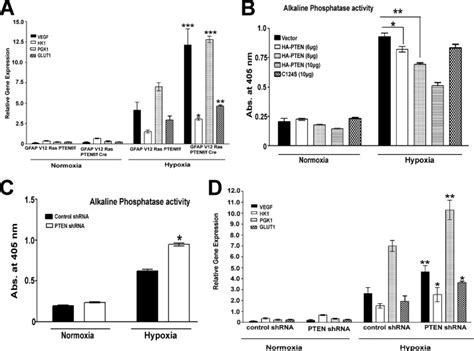 Mdm2 Regulates Hypoxic Hypoxia Inducible Factor 1α Stability In An E3