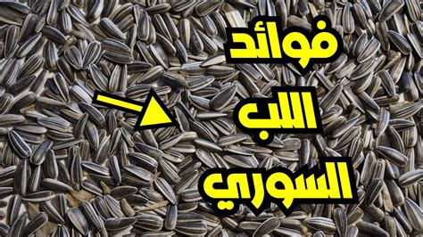 فوائد اللب السوري فوائد لب عباد الشمس فوائد لب دوار الشمس فوائد بذور دوار الشمس Youtube