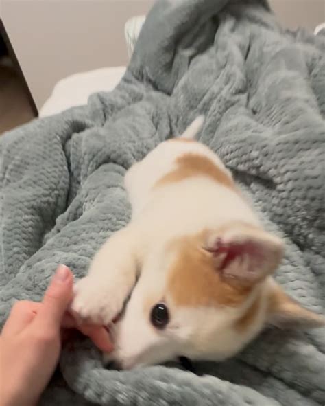 준배 Imjunbae • Instagram Photos And Videos