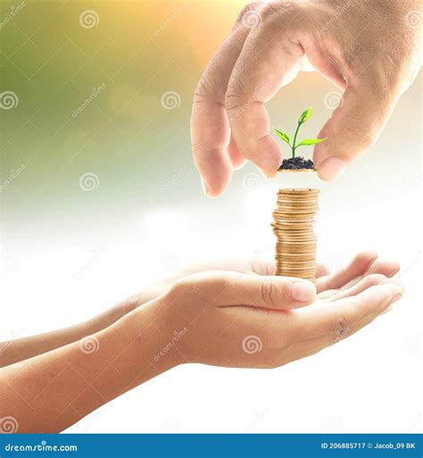 Mano Del Padre Dar Una Moneda Con Una Planta Pequeña En Pilas De
