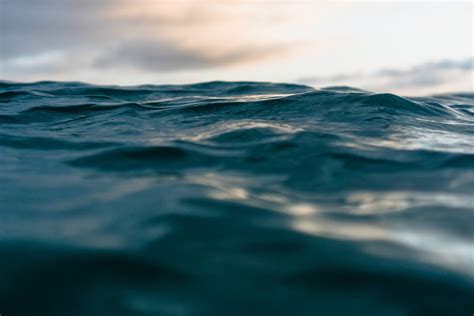 Scoping And General Projects Blue Economy Crc