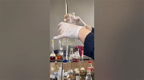 ეგვიპტური ღამე 😎 Youtube